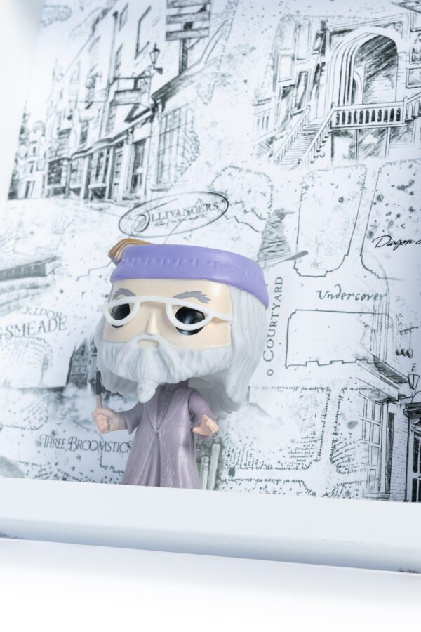 Albus Dumbledore - Fortune Frames